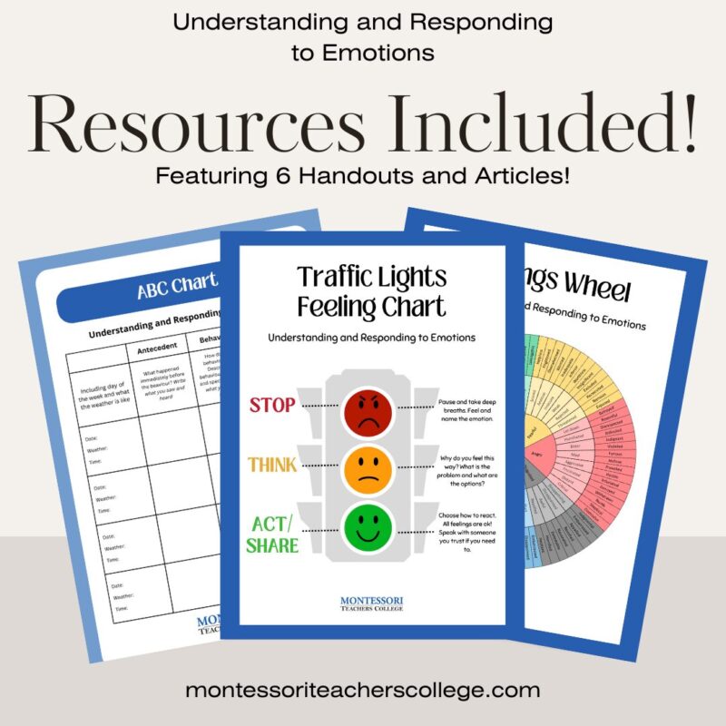 Understanding and Responding to Emotions - Montessori Teachers